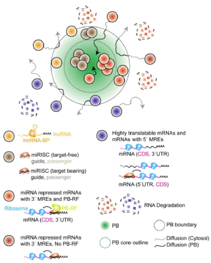 Check out our recent article that reveals interesting findings on ...